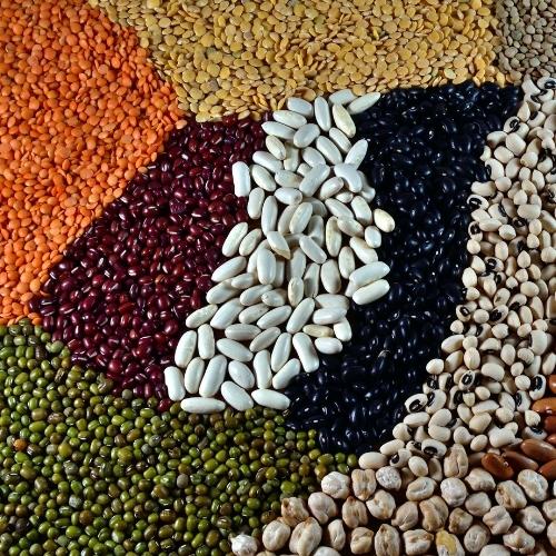 #1 Agro Products Exporters In India– Rice, Spices Export